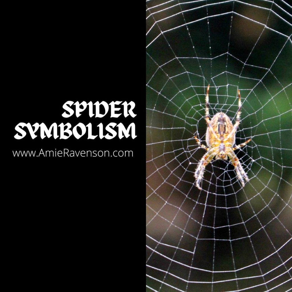 Spider Symbolism - Amie Ravenson