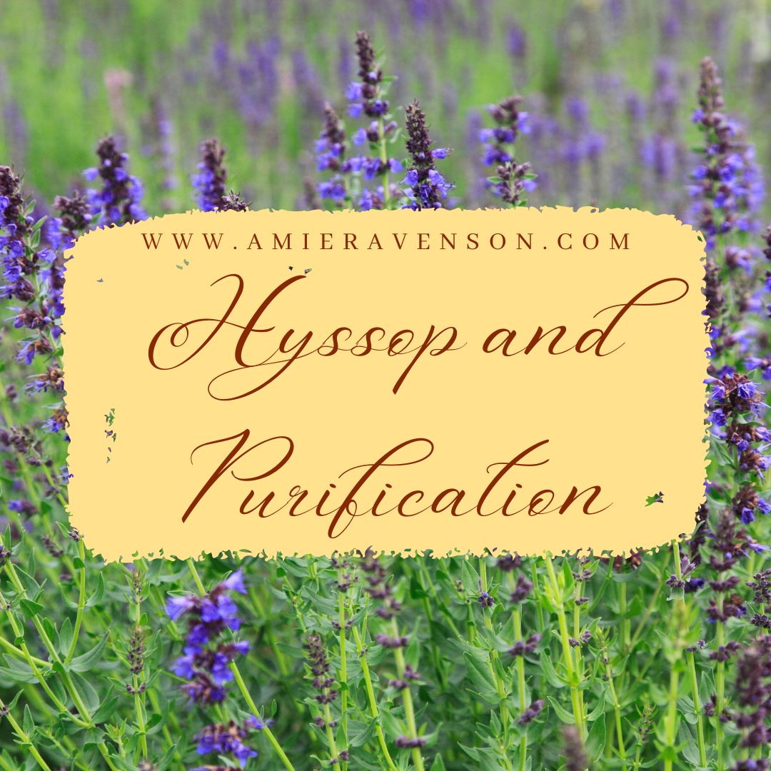 Hyssop and Purification - Amie Ravenson