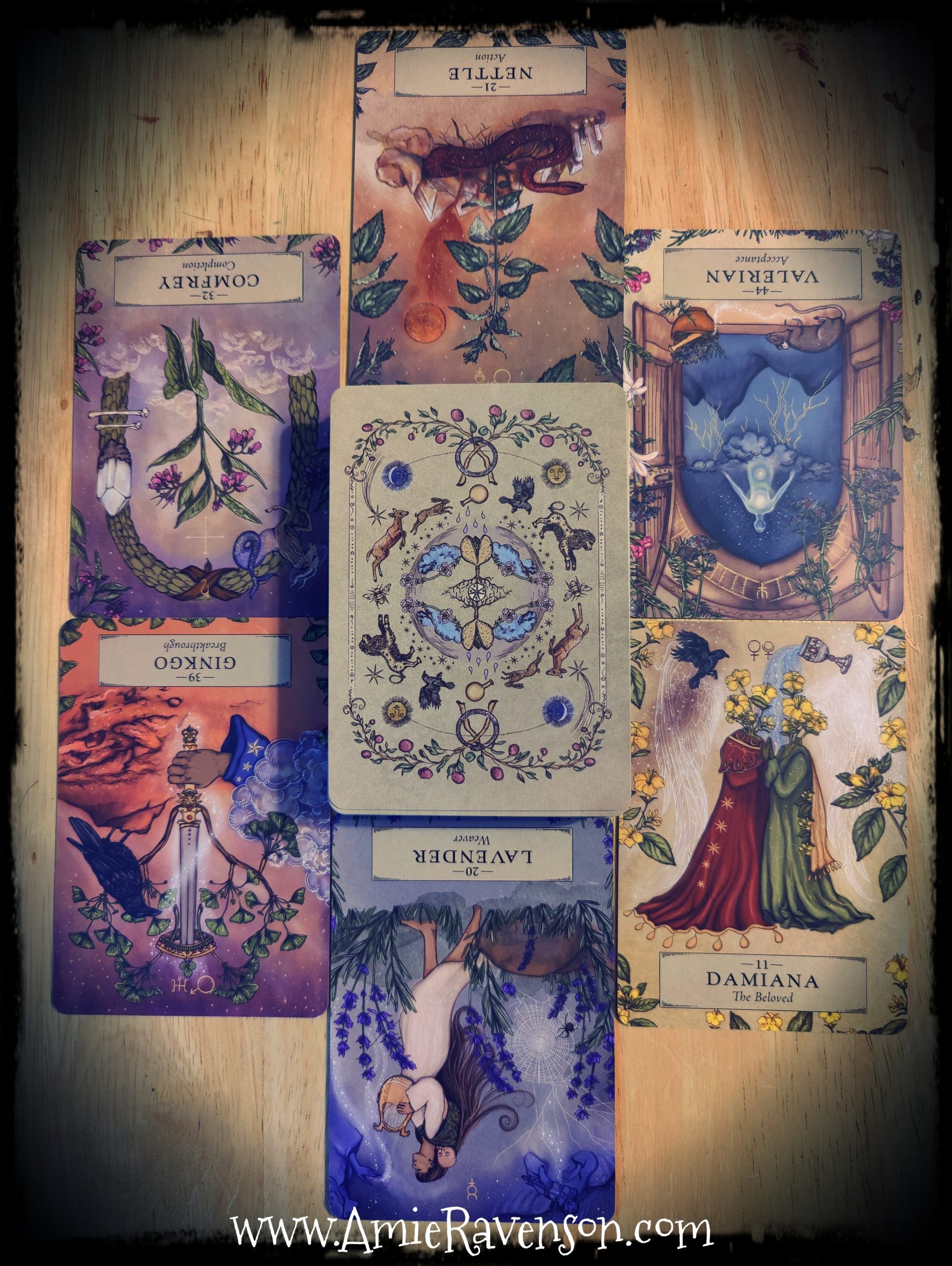 Deck Interview- The Herbal Astrology Oracle - Amie Ravenson